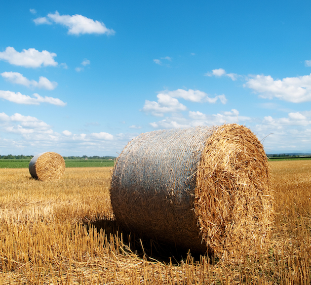 Applications open for oversize hay baler access permits - Trailer Magazine