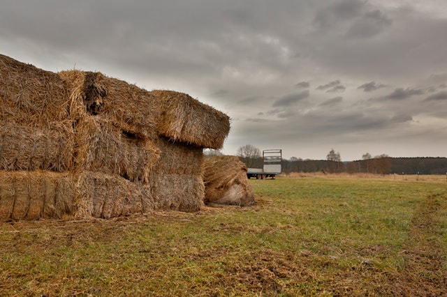 Aussie Hay Runners ready for Bega Valley Shire run - Trailer Magazine