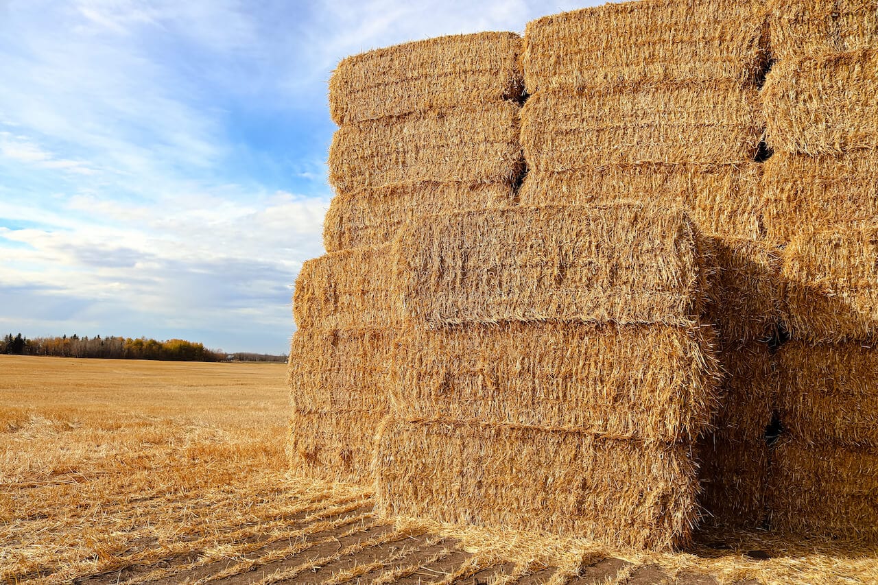 Aussie Hay Runners prepares for second Inverell run - Trailer Magazine