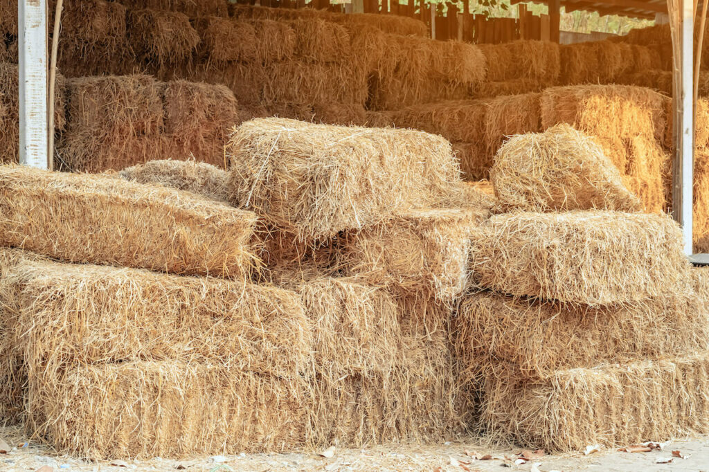 Aussie Hay Runners ready for last Upper Hunter run - Trailer Magazine