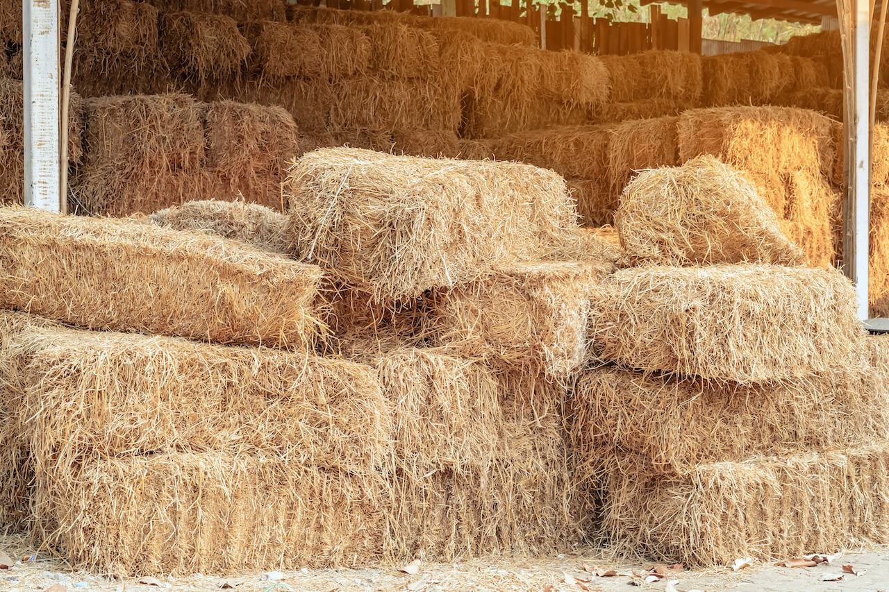 Aussie Hay Runners ready for last Upper Hunter run - Trailer Magazine