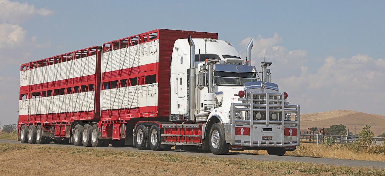 ALRTA calls for livestock infrastructure change - Trailer Magazine